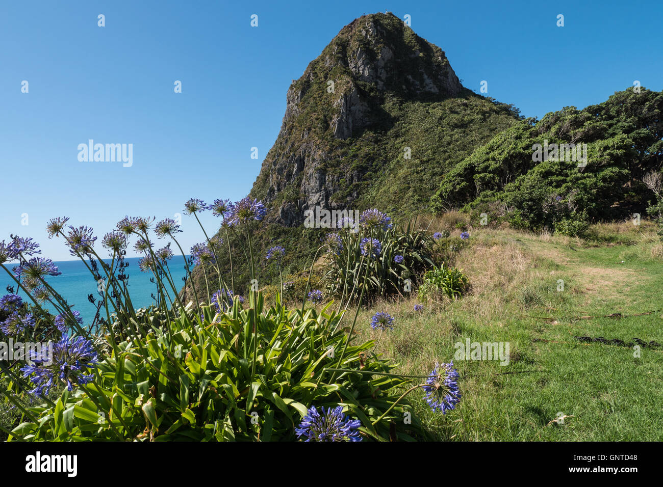 Paritutu Rock, New Plymouth, Taranaki, North Island, New Zealand Stock ...