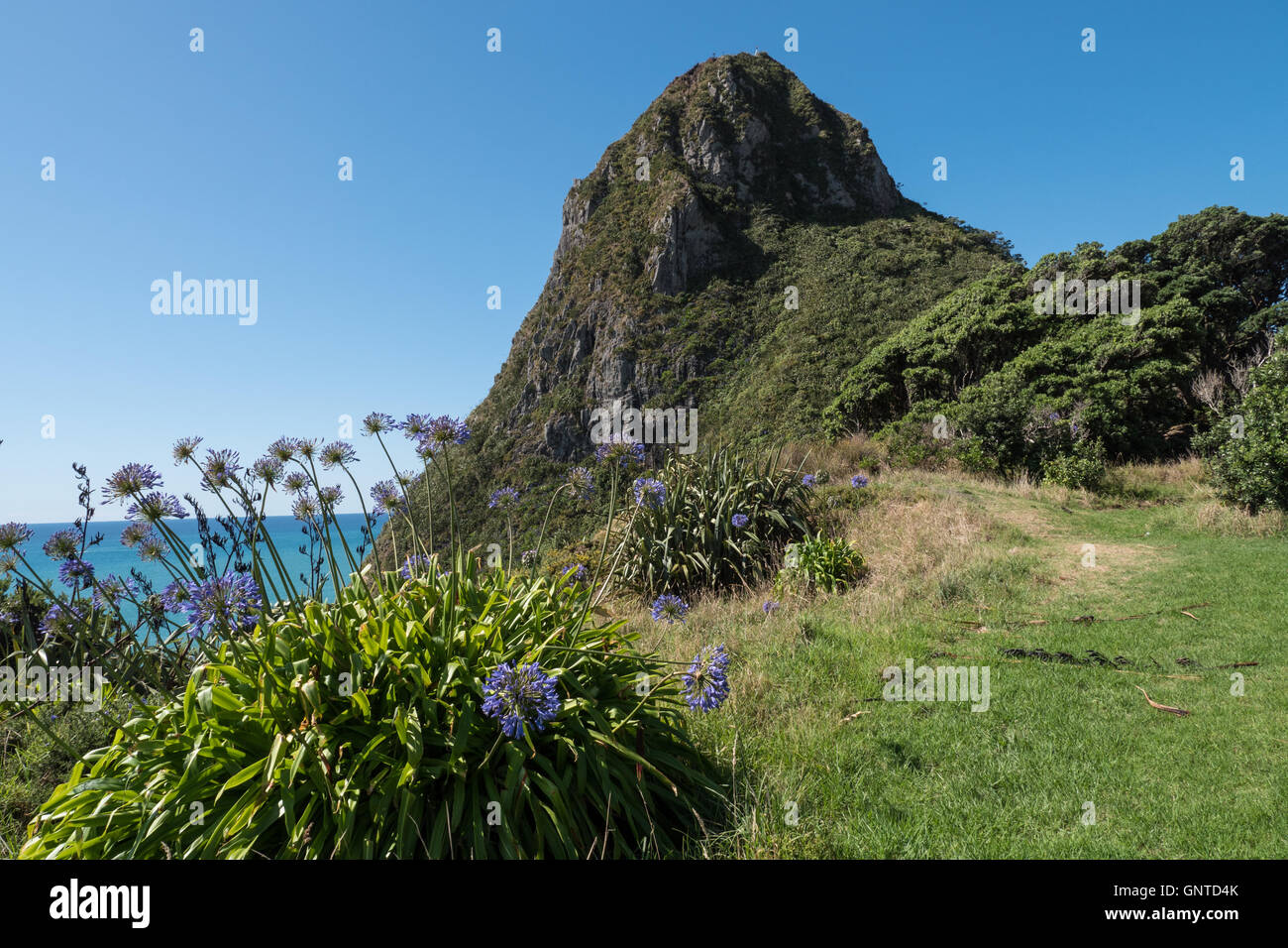Paritutu Rock, New Plymouth, Taranaki, North Island, New Zealand Stock ...