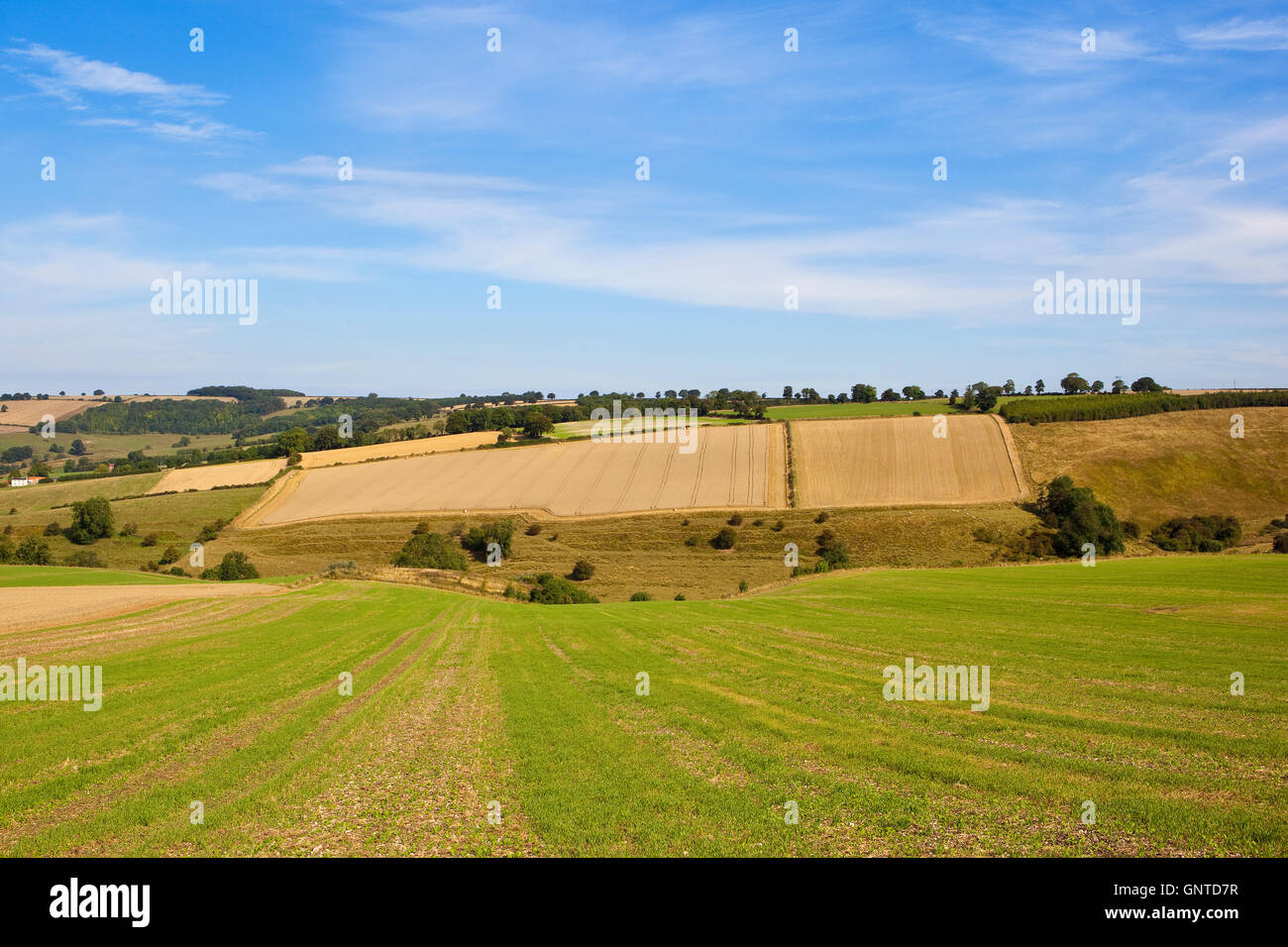 The patchwork farming landscape of hills, hedgerows and arable fields ...