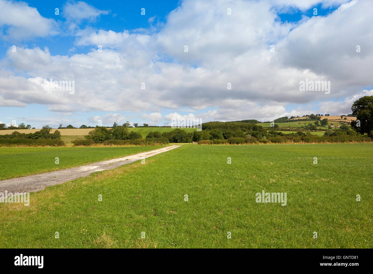 A stony farm track through green meadows in the patchwork landscape of ...