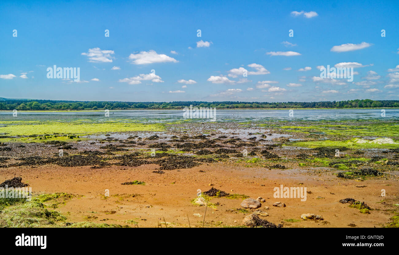 Shell Bay,Dorset,England, a Wetland Bay at tide out. A view across the ...