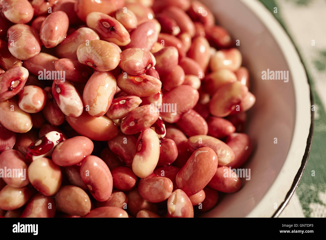 Ansazi Beans, a typical Native American food, soaked and ready for ...