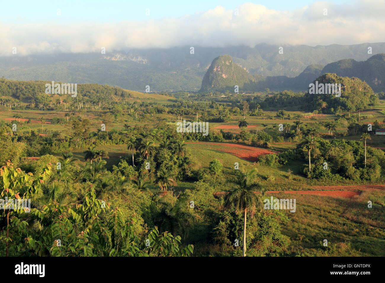 Vinales cuba tourism travel hi-res stock photography and images - Alamy