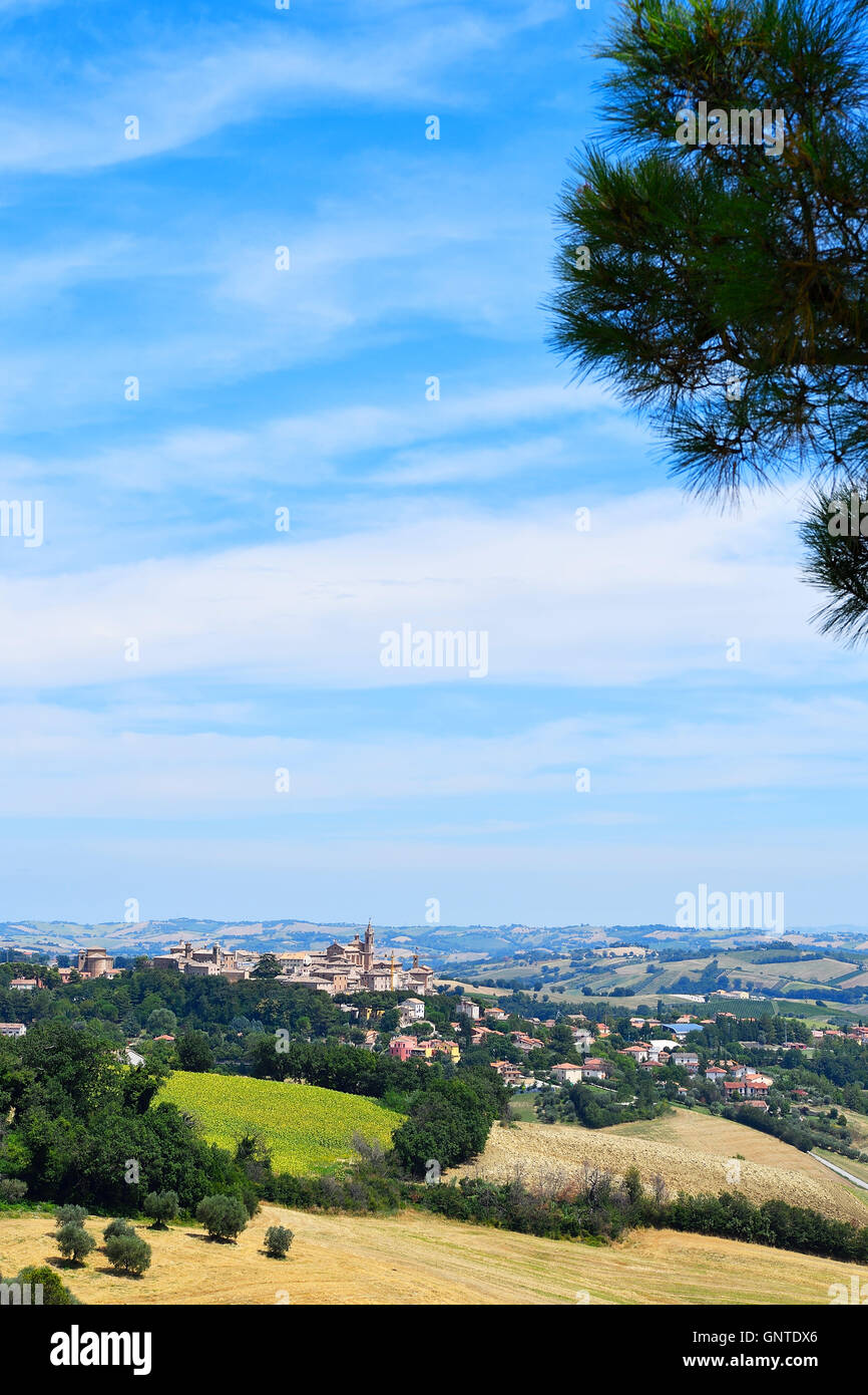 View, overview, panorama, in the background Corinaldo, Province Ancona ...