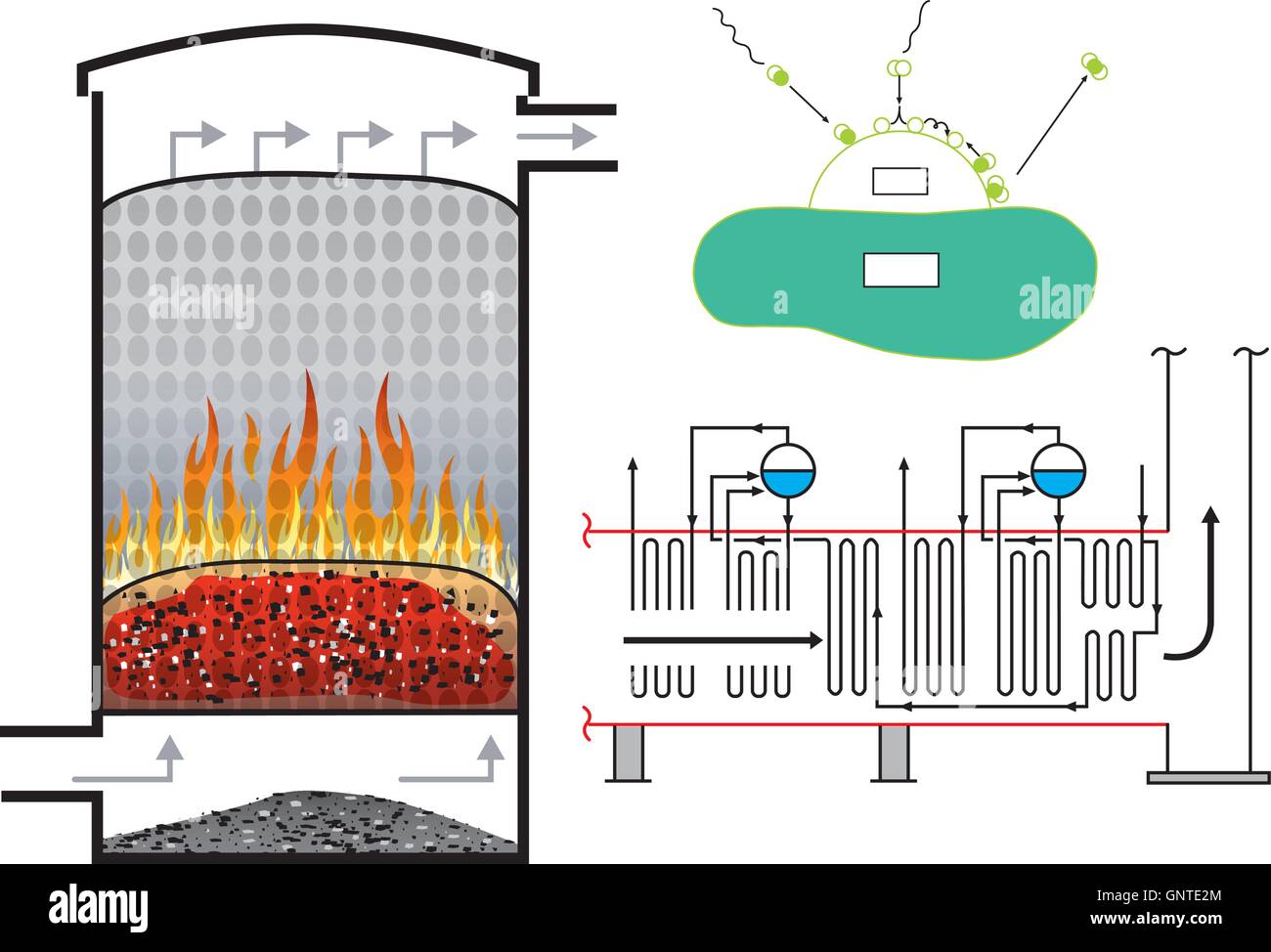 Biomass is organic matter derived from living Renewable energy. Safe ...