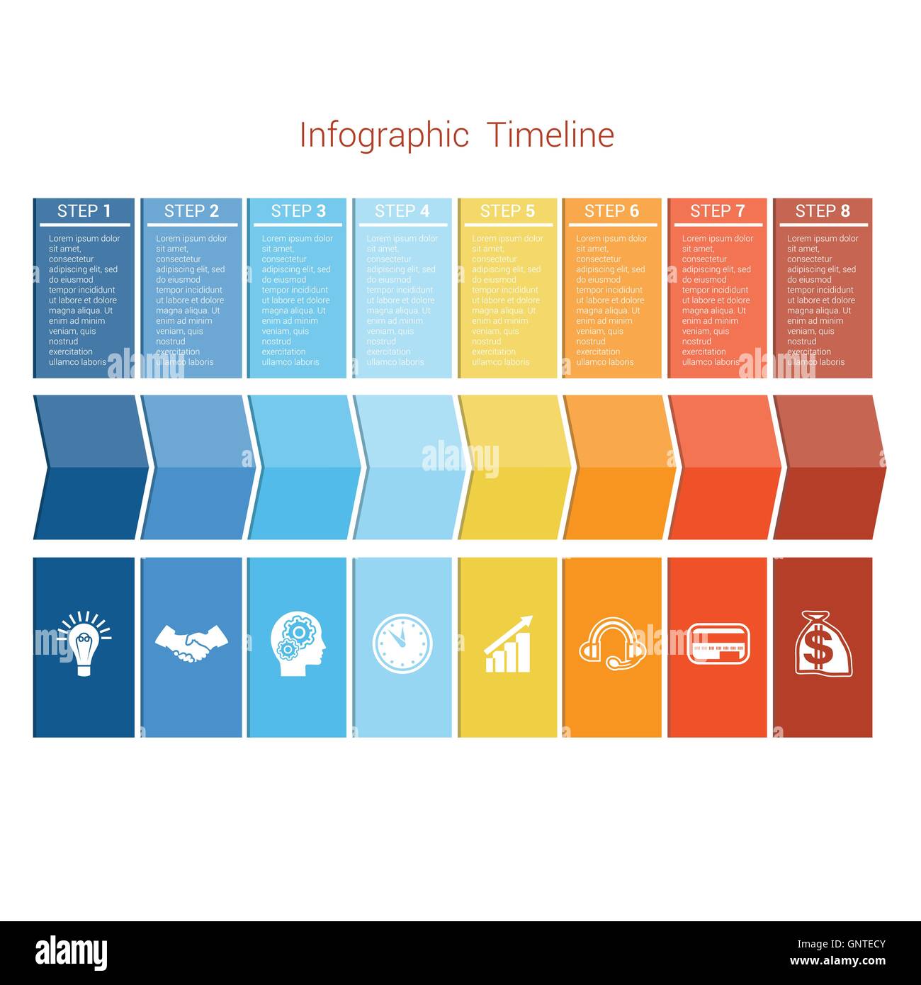 Infographic Timeline Vector