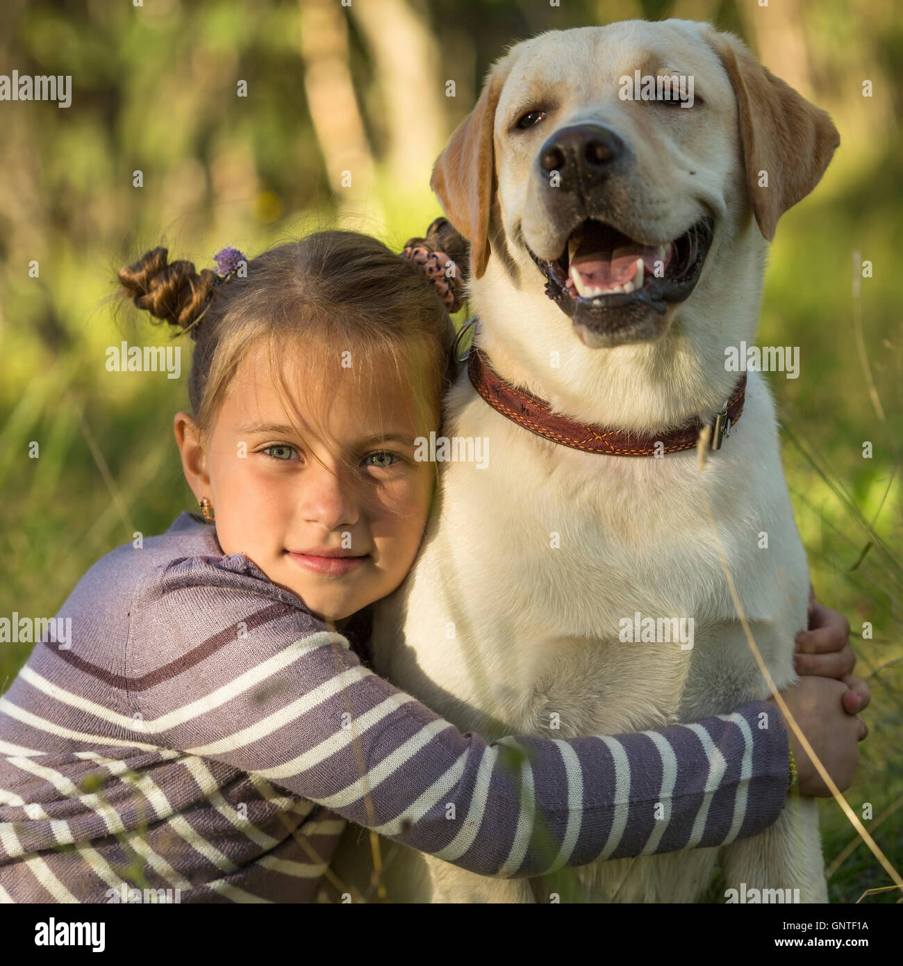 Cute little girl with a Dog Stock Photo - Alamy
