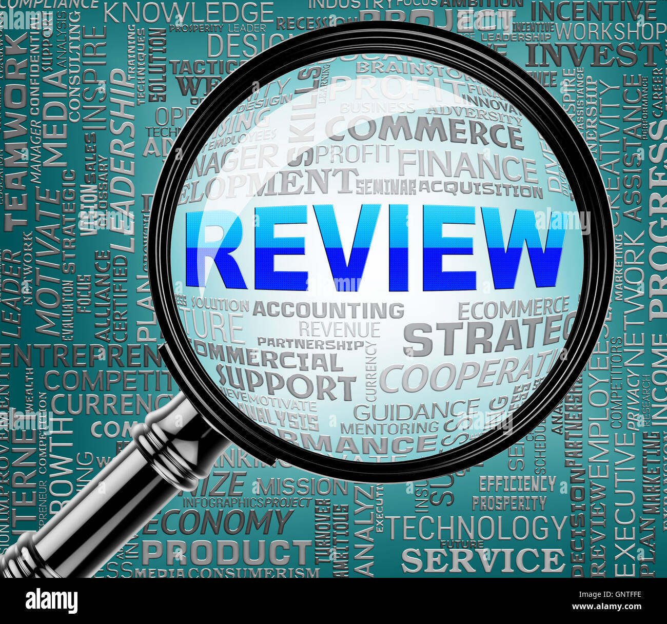 Review Magnifier Indicating Assessment And Evaluating 3d Rendering ...