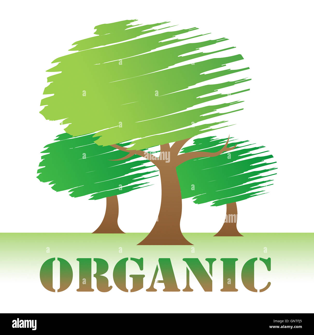 Organic Trees Indicating Woods Environment And Reforestation Stock ...