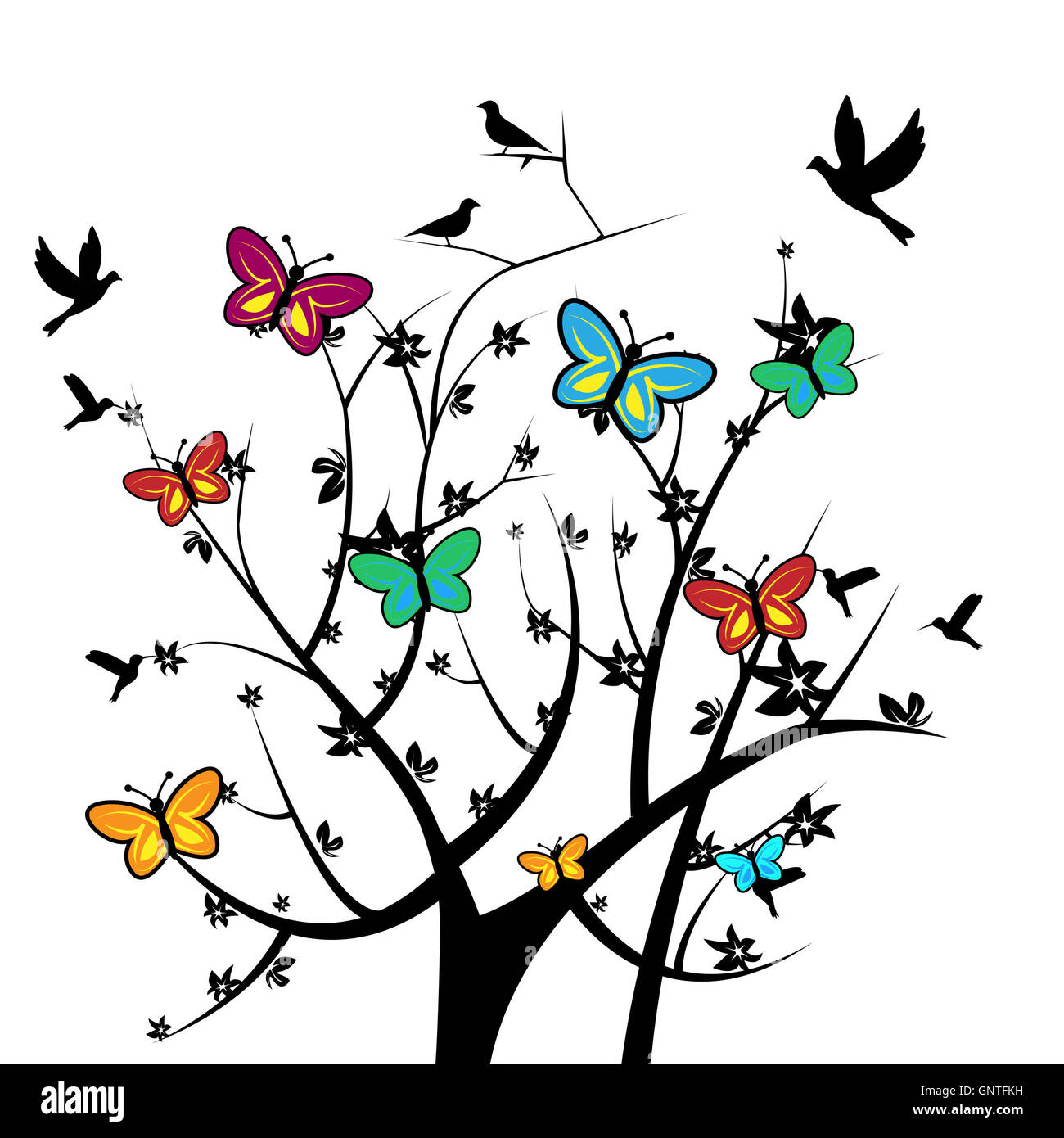 Butterflies In Tree Indicating Natural Environment And Nature Stock ...