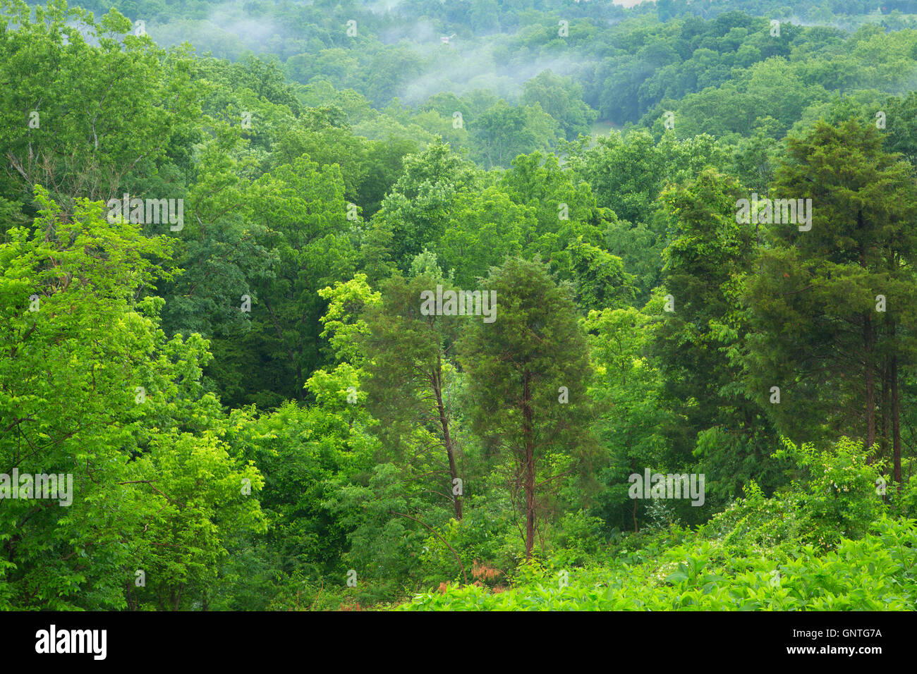 Scenic Battlefield Overlook, Pry House Field Hospital Museum, Antietam ...