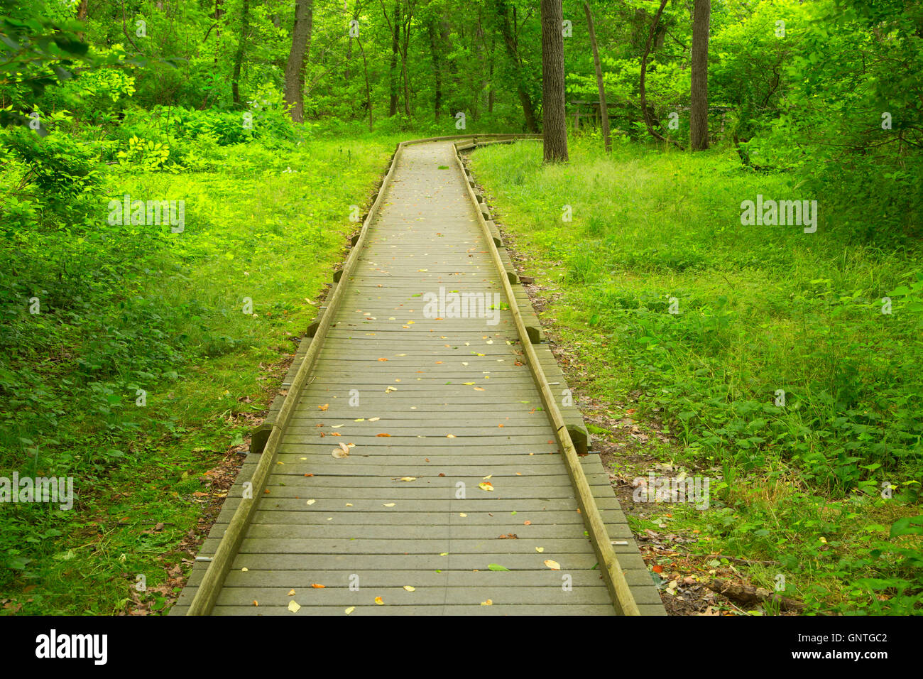 Battlefield boardwalk hi-res stock photography and images - Alamy