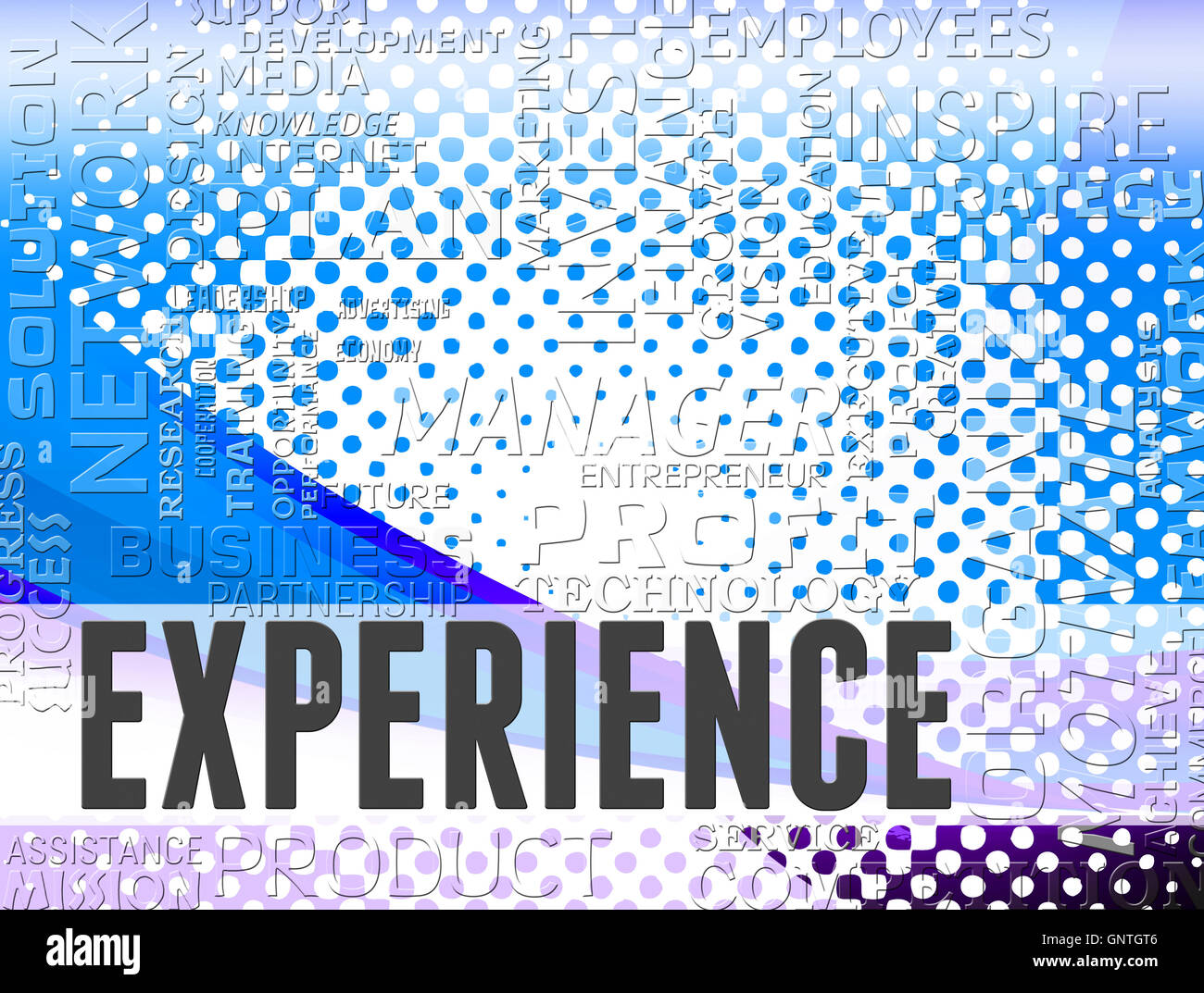 Experience Words Showing Proficiency Skills And Mastery Stock Photo - Alamy