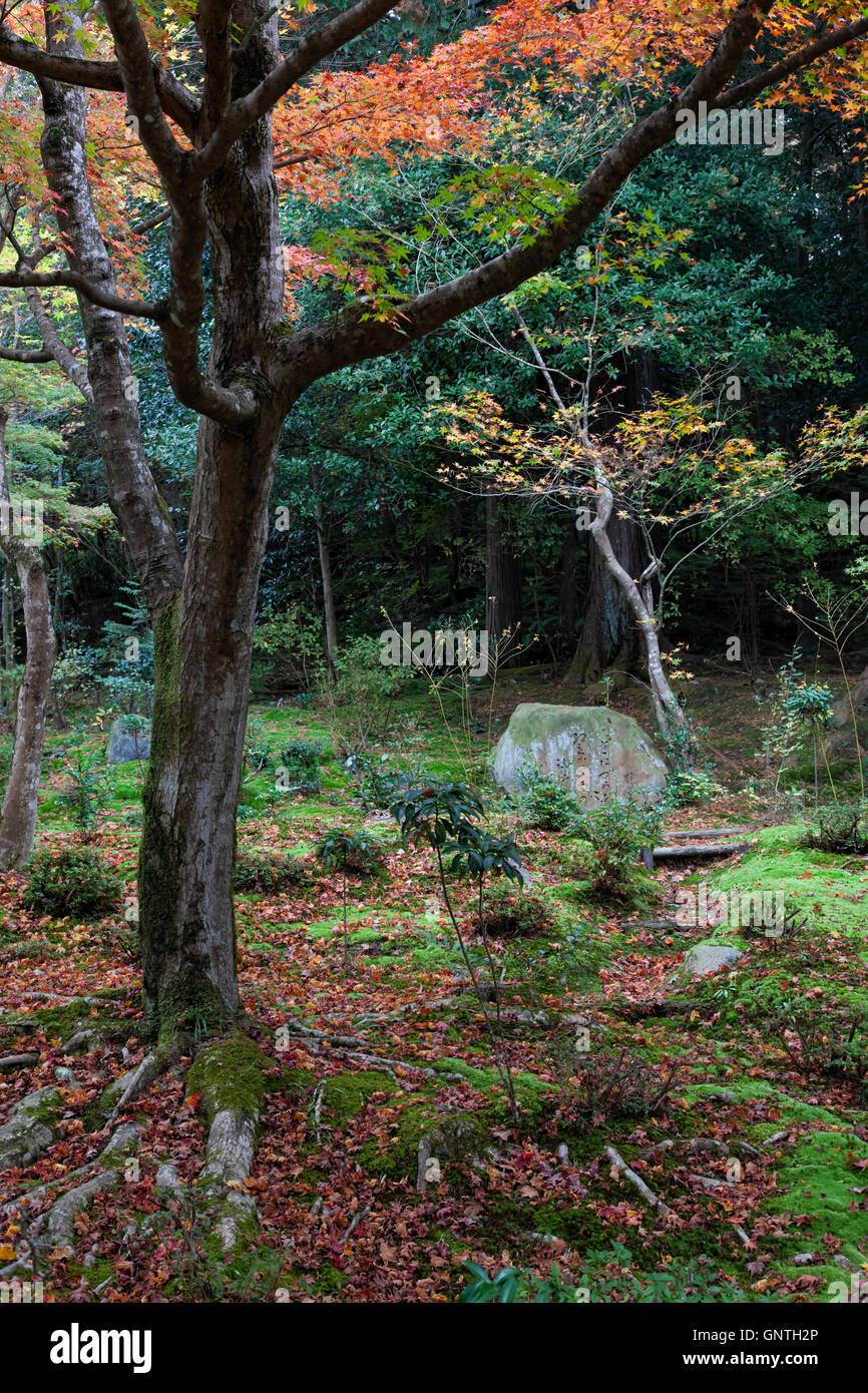 Japan kyoto garden hi-res stock photography and images - Alamy