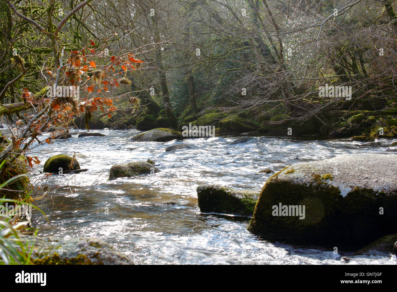 The River Dart, Dartmoor National Park, Devon, England, UK Stock Photo ...