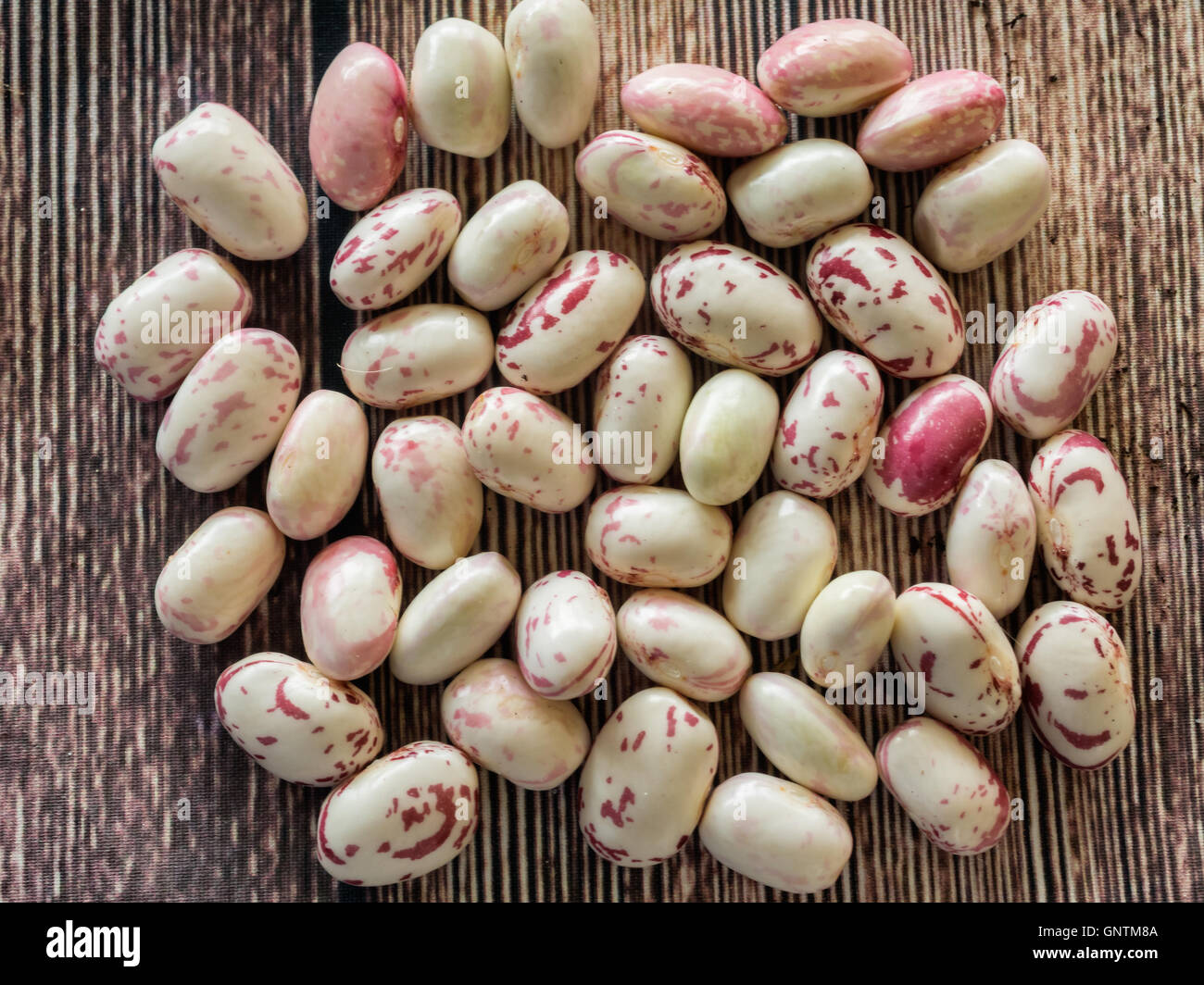 Borlotto bean plant hi-res stock photography and images - Alamy