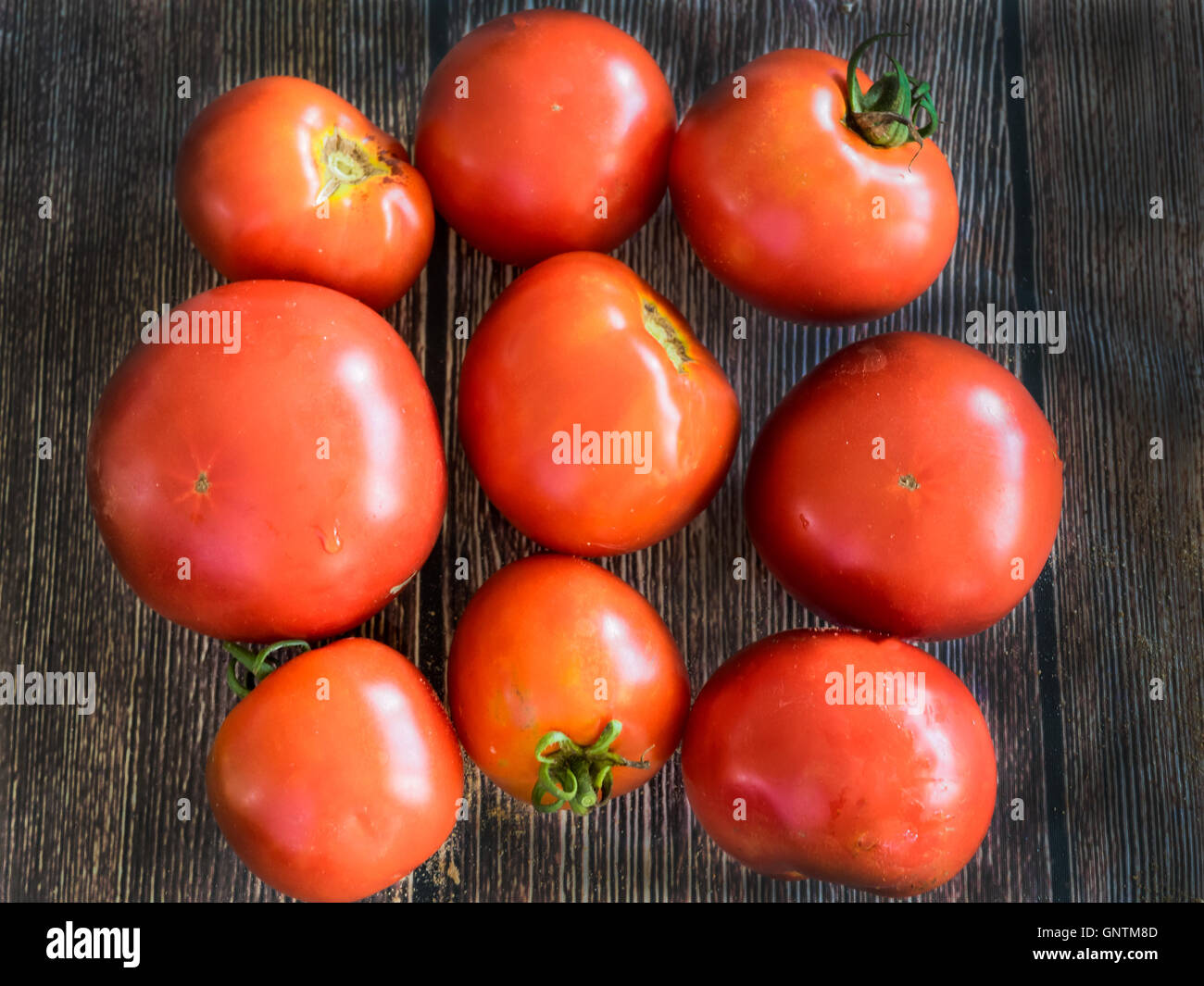 Nine fresh red tomatoes in rows Stock Photo - Alamy