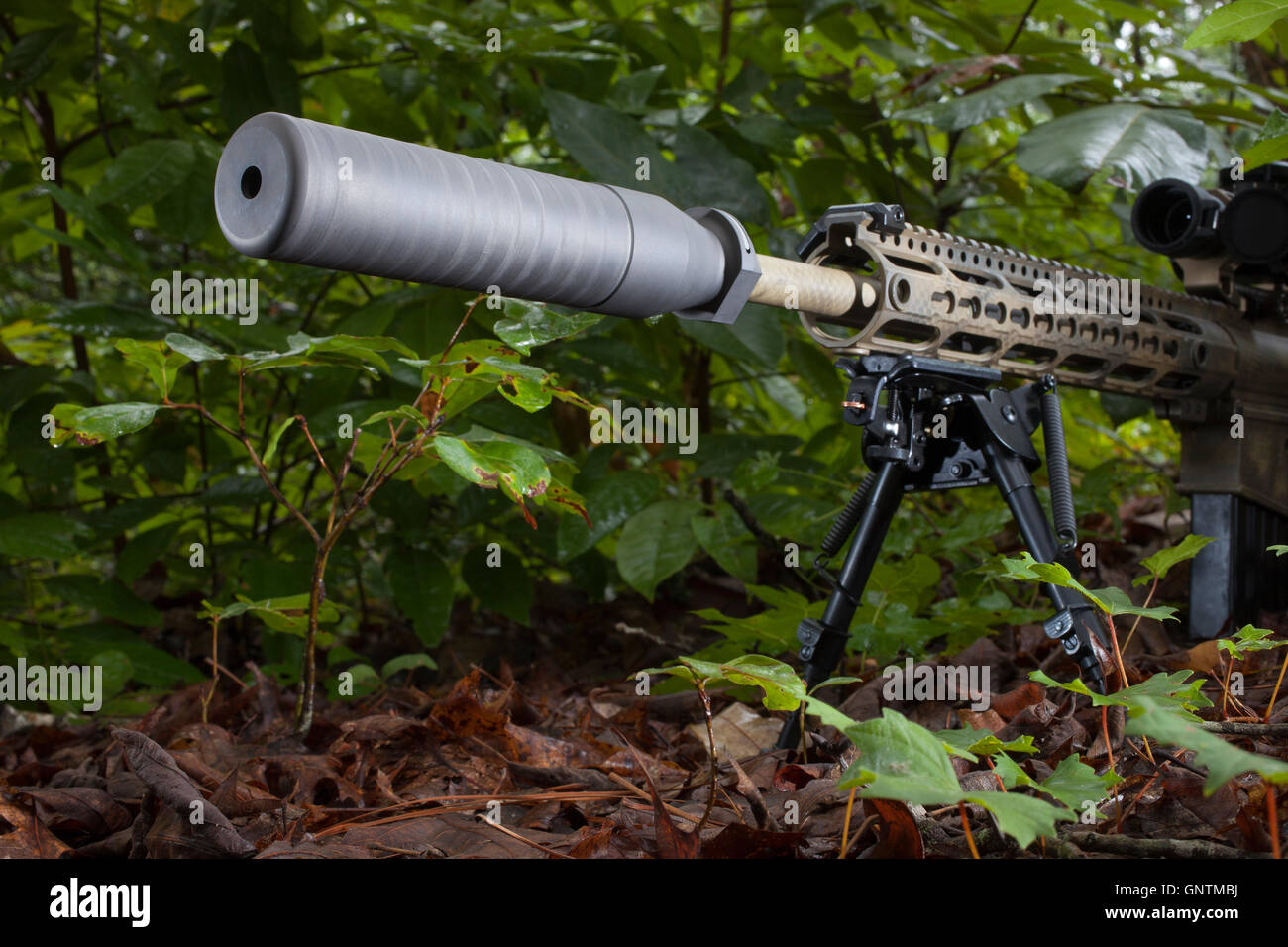 Modern semi automatic rifle that has a suppressor on the barrel Stock ...