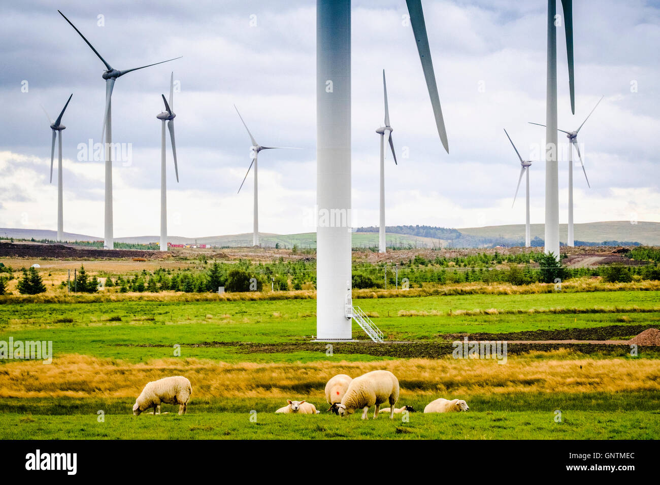 Wind Turbine in West Lothian, Scotland Stock Photo - Alamy