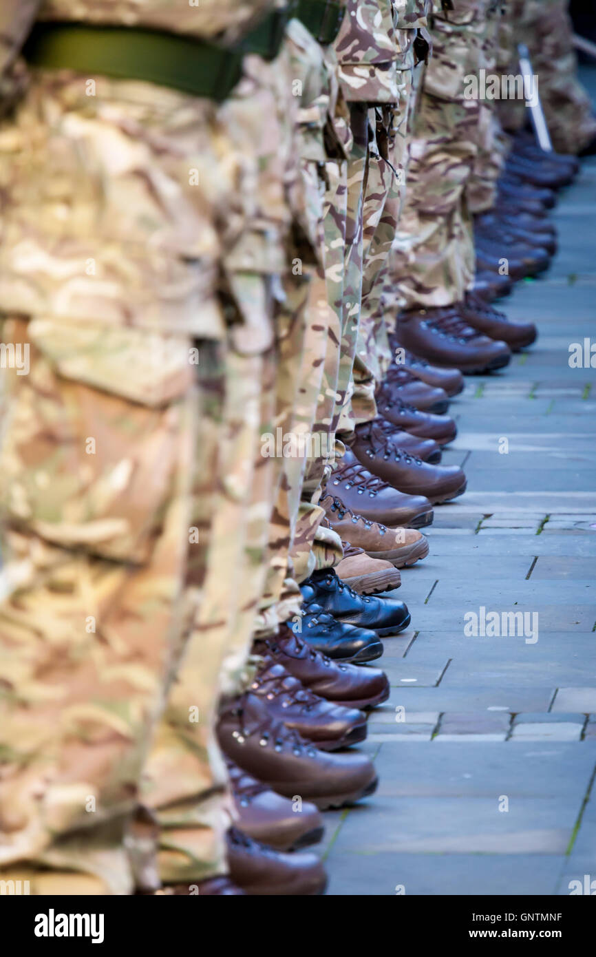 Signals Regiment at Haverfordwest 2014 for presentation of medals Stock ...