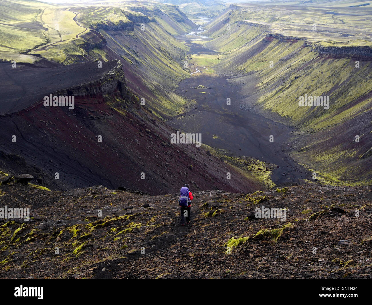 Eldgjá rift from Gjátindur, Iceland Stock Photo - Alamy