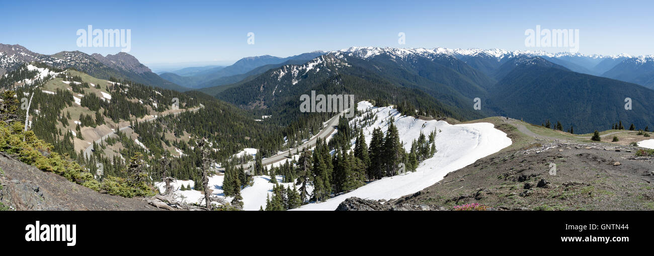 Panoramic view on a beautiful day at Hurricane Ridge in Olympic ...