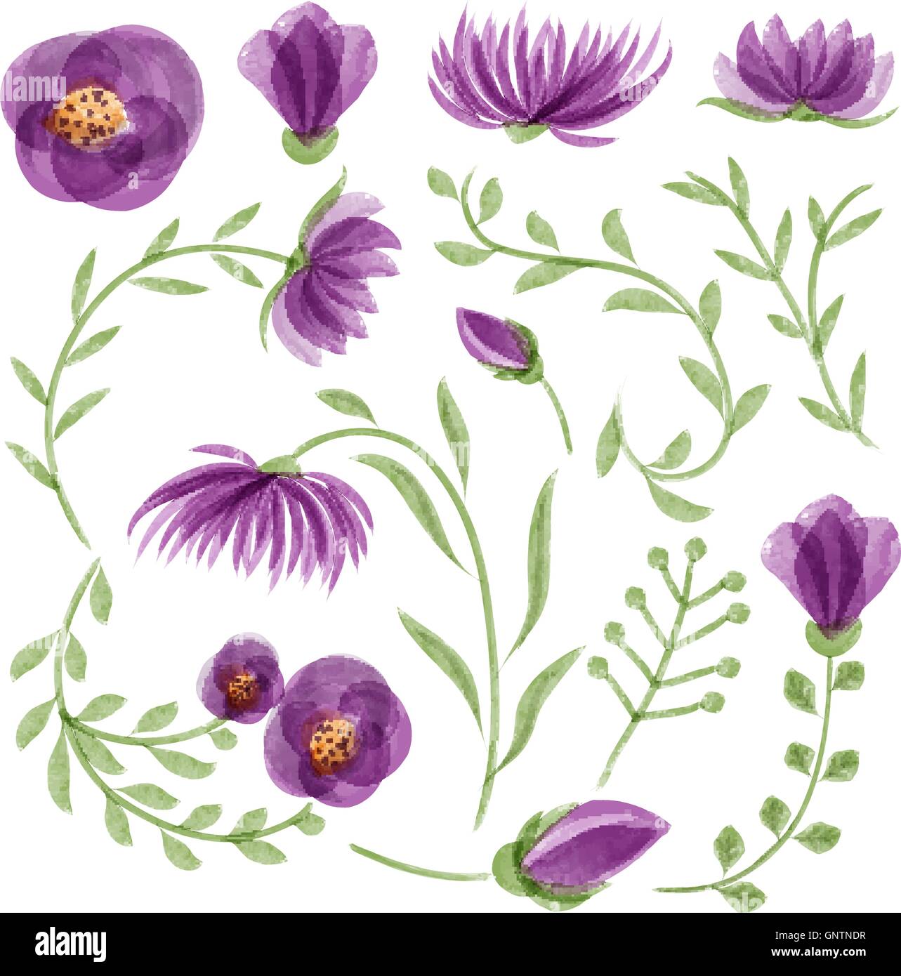 Watercolor vector floral set Stock Vector Image & Art - Alamy