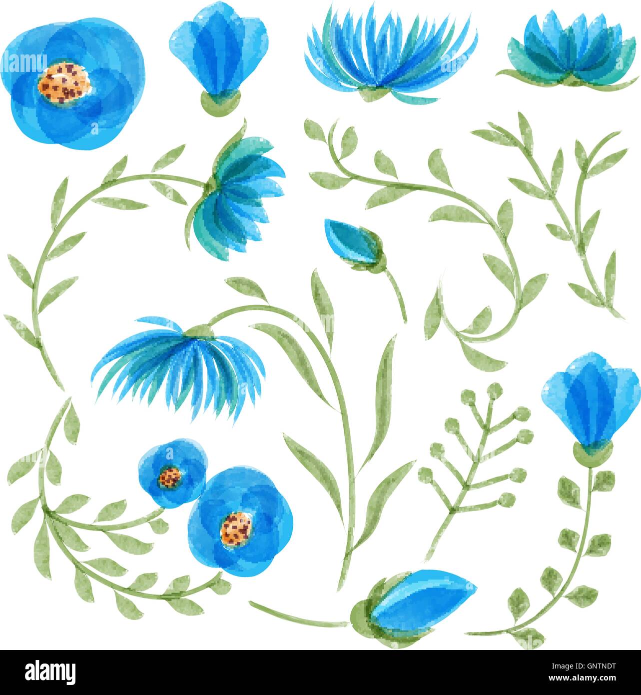 Watercolor vector floral set Stock Vector Image & Art - Alamy