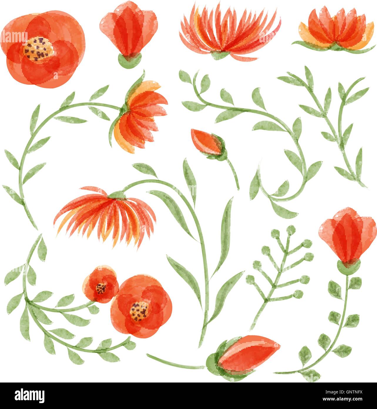 Watercolor vector floral set Stock Vector Image & Art - Alamy