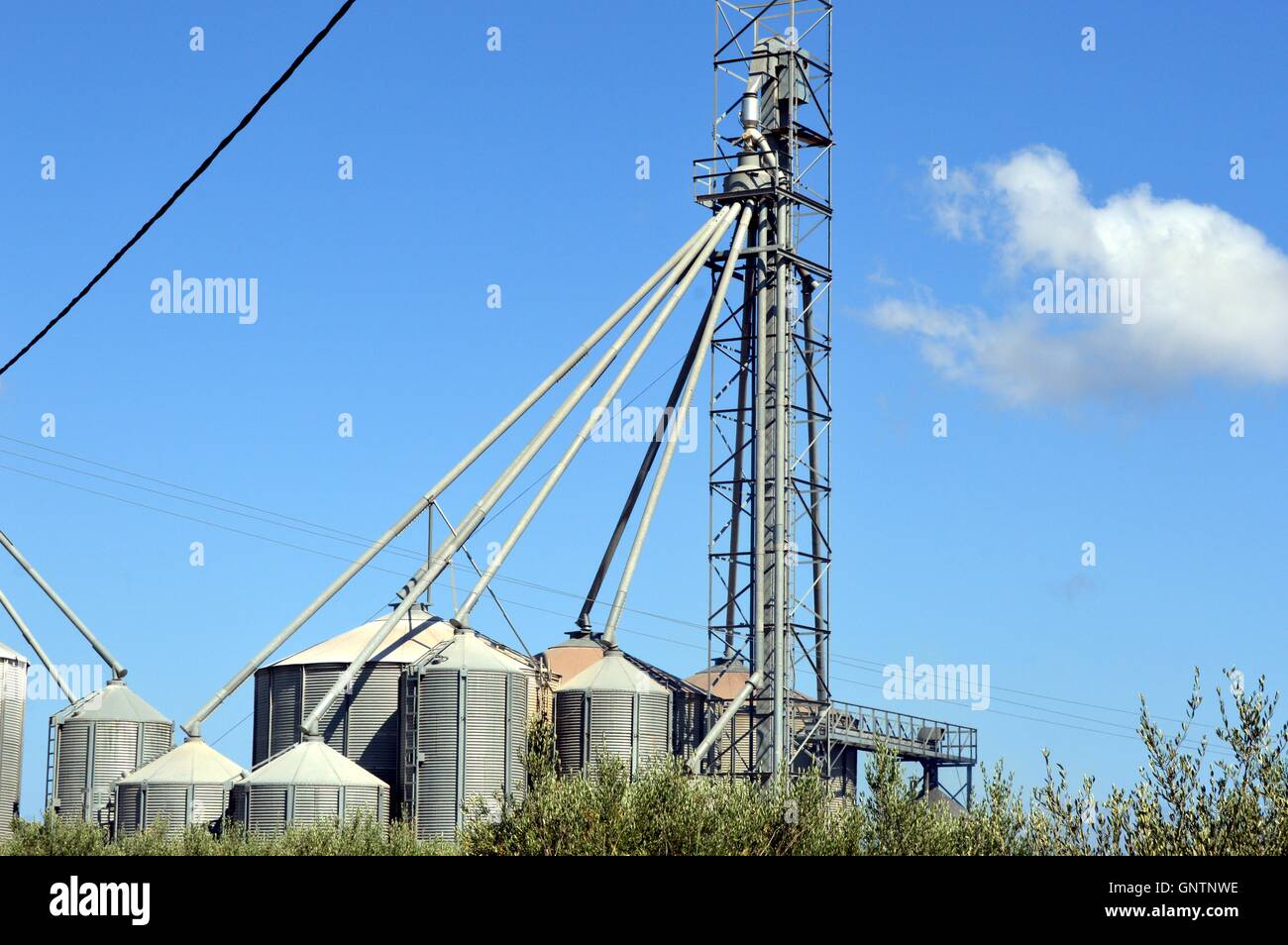 Group of grain silos with pipes of dispersal Stock Photo - Alamy