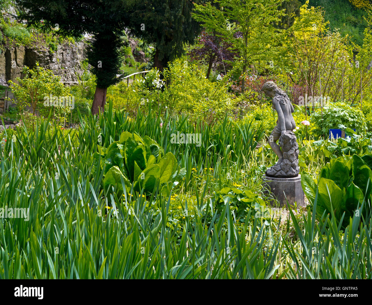 Bonsall derbyshire hi-res stock photography and images - Alamy