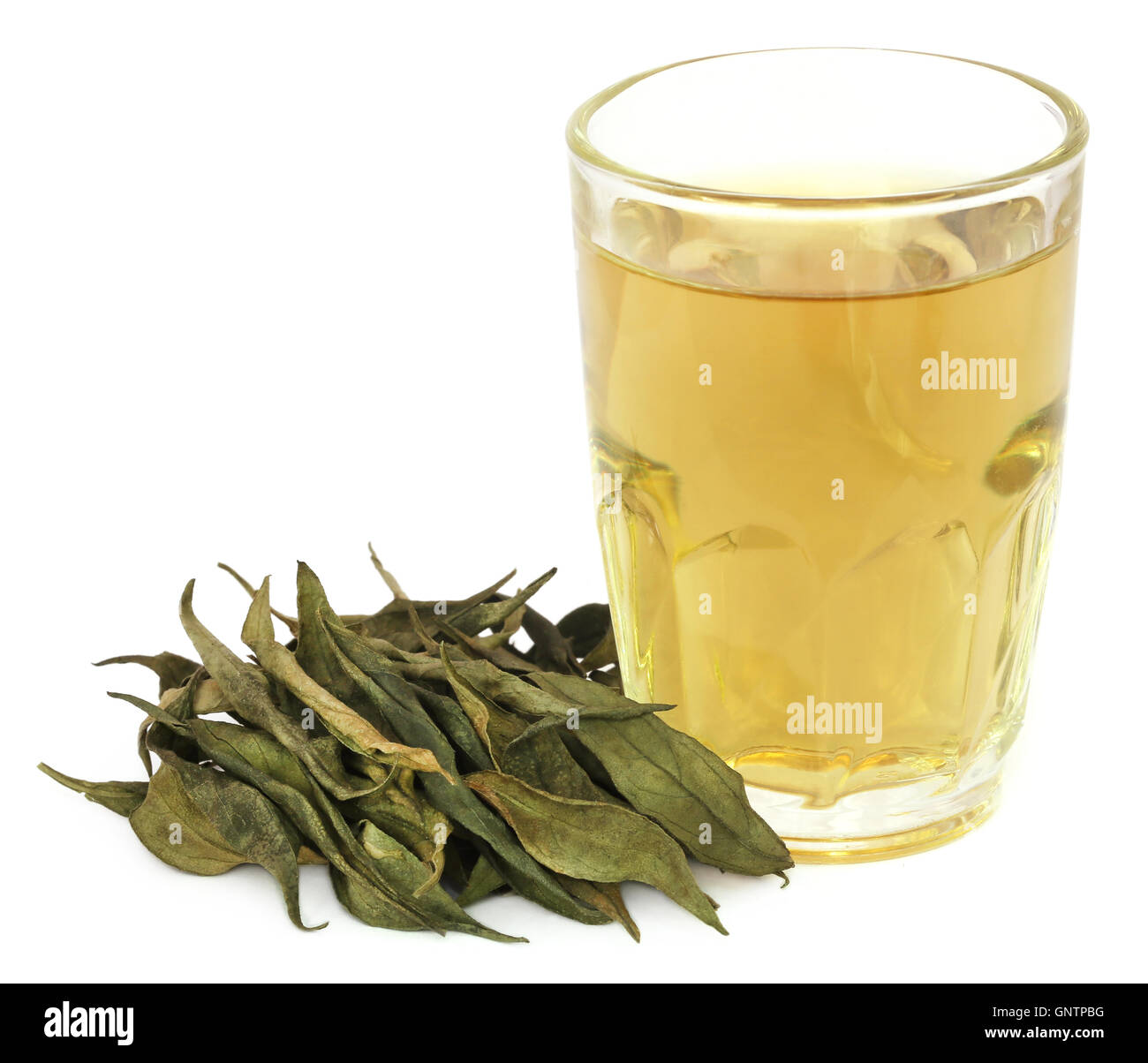 Gentiana chirata hi-res stock photography and images - Alamy