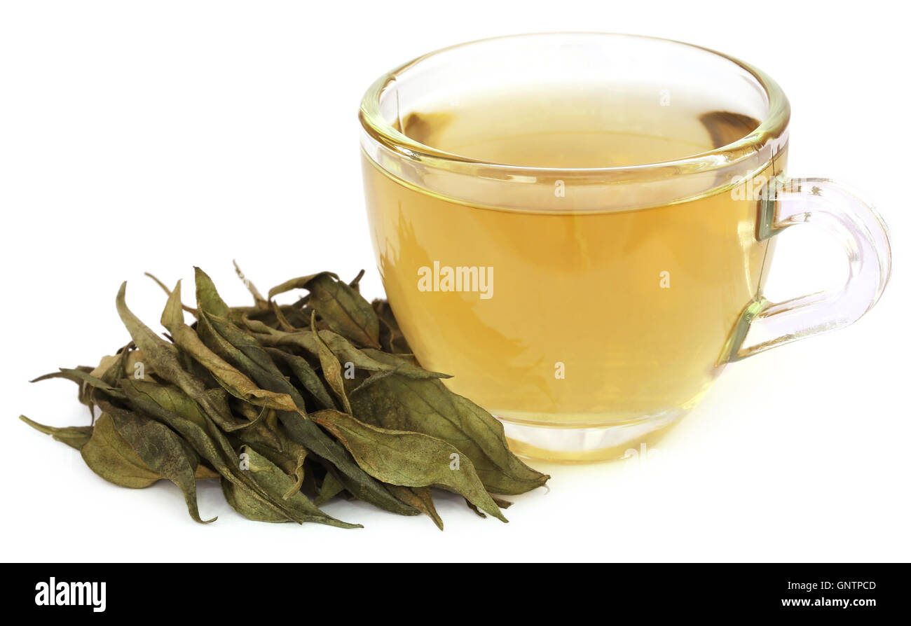 Ayurvedic medicinal Chirata with herbal juice in a glass Stock Photo ...