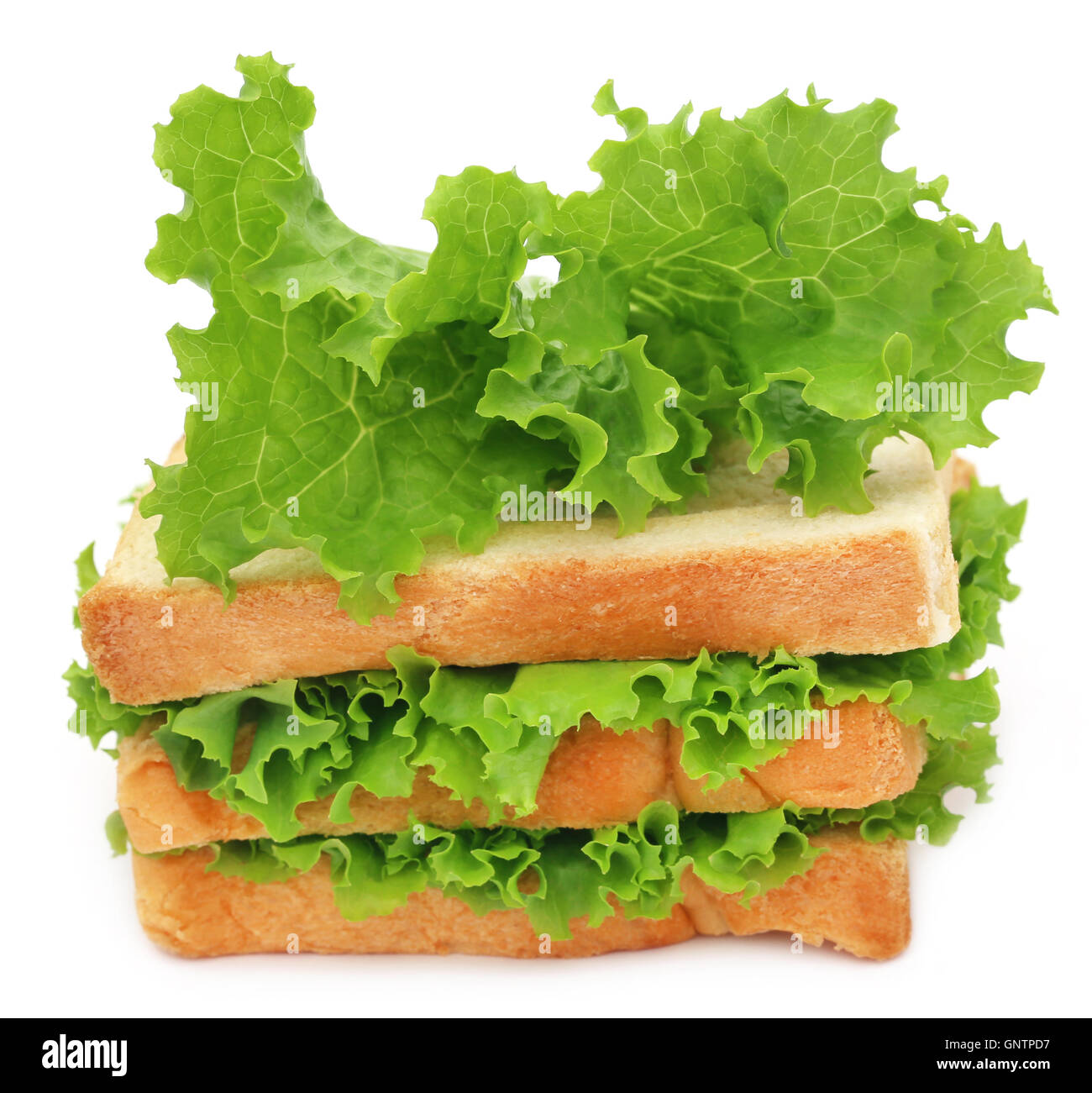 Bread slices with green lettuce inside over white background Stock ...