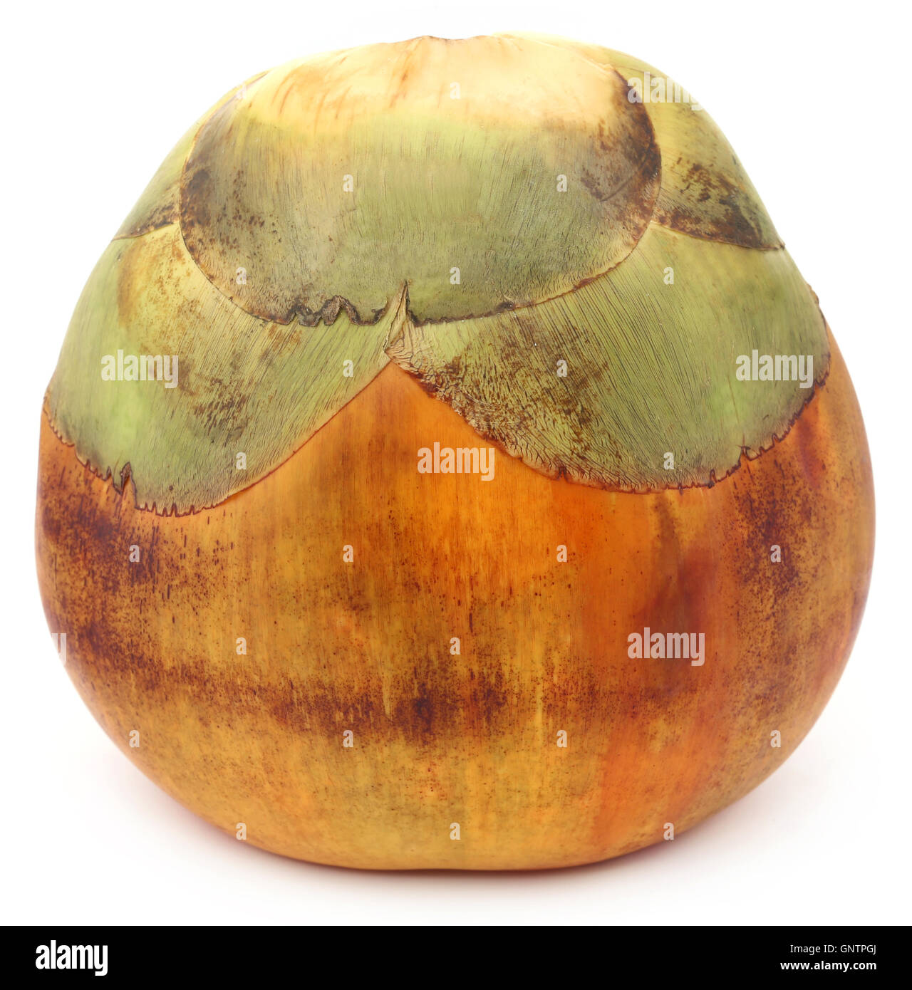 Borassus flabellifer hi-res stock photography and images - Alamy