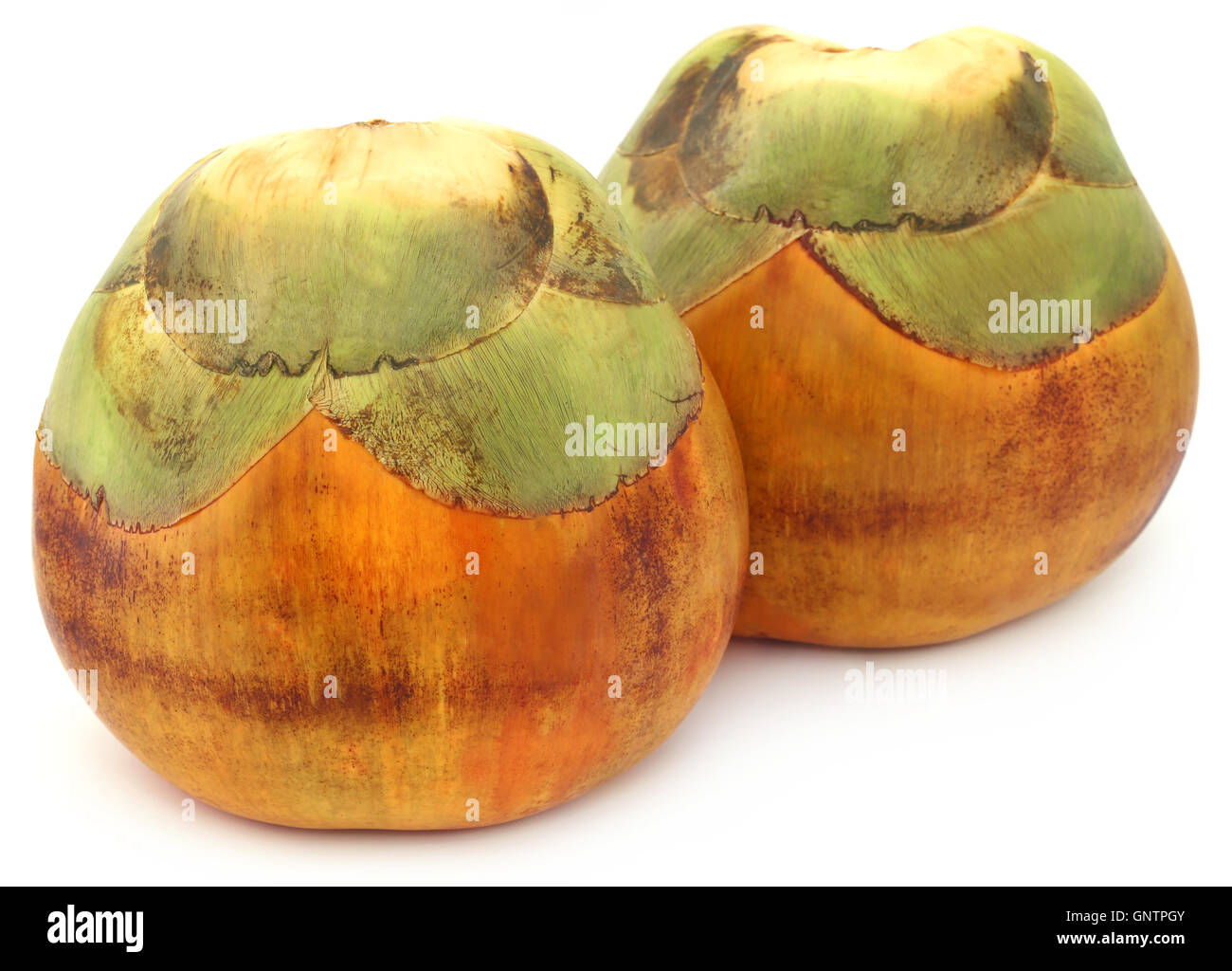 Borassus flabellifer or Tal fruit of Indian subcontinent Stock Photo ...