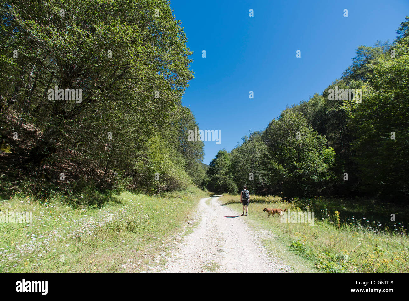 Man and dog doing hiking on mountain, trekking Abruzzo, Italy Stock ...
