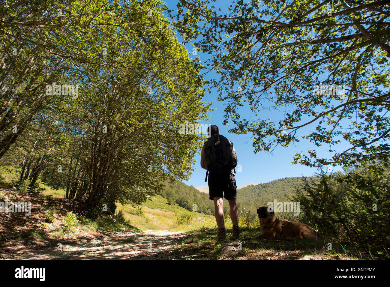 Man and dog doing hiking on mountain, trekking Abruzzo, Italy Stock ...