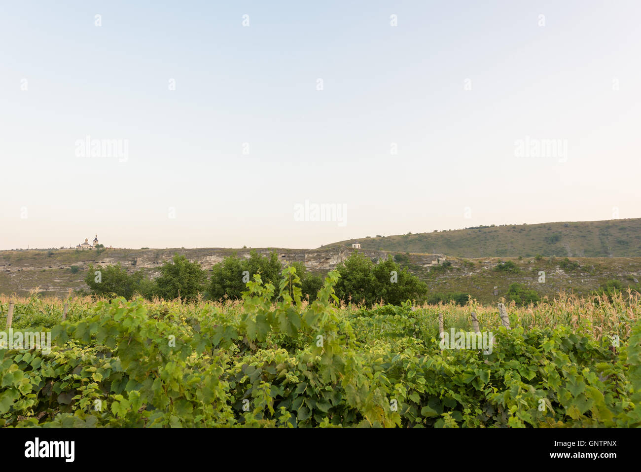 Orheiul vechi memorial complex at sunset in Moldova with vine yards ...