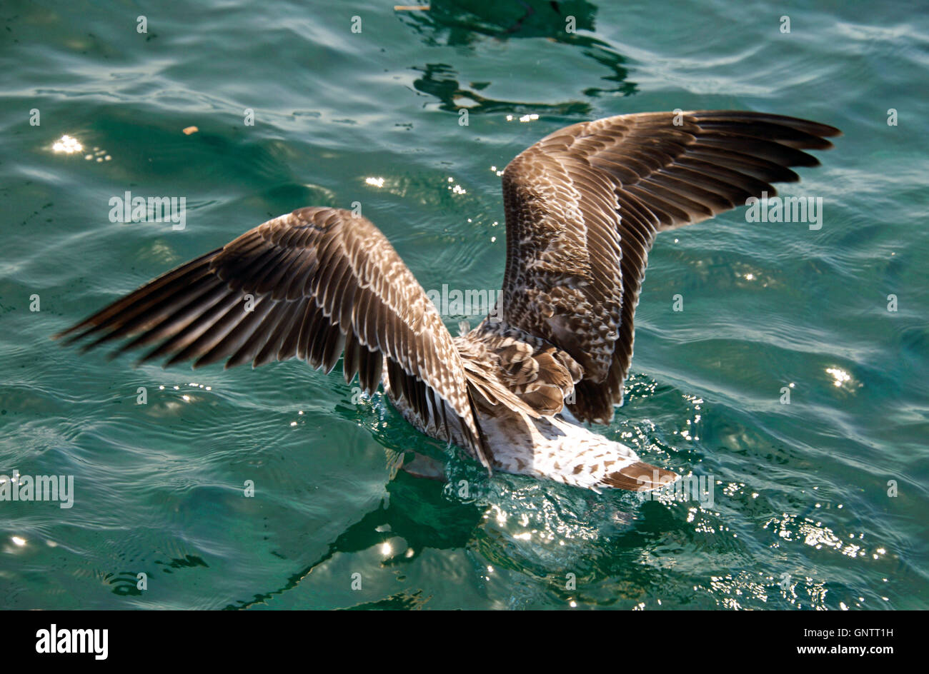 Moving water background illustration hi-res stock photography and ...