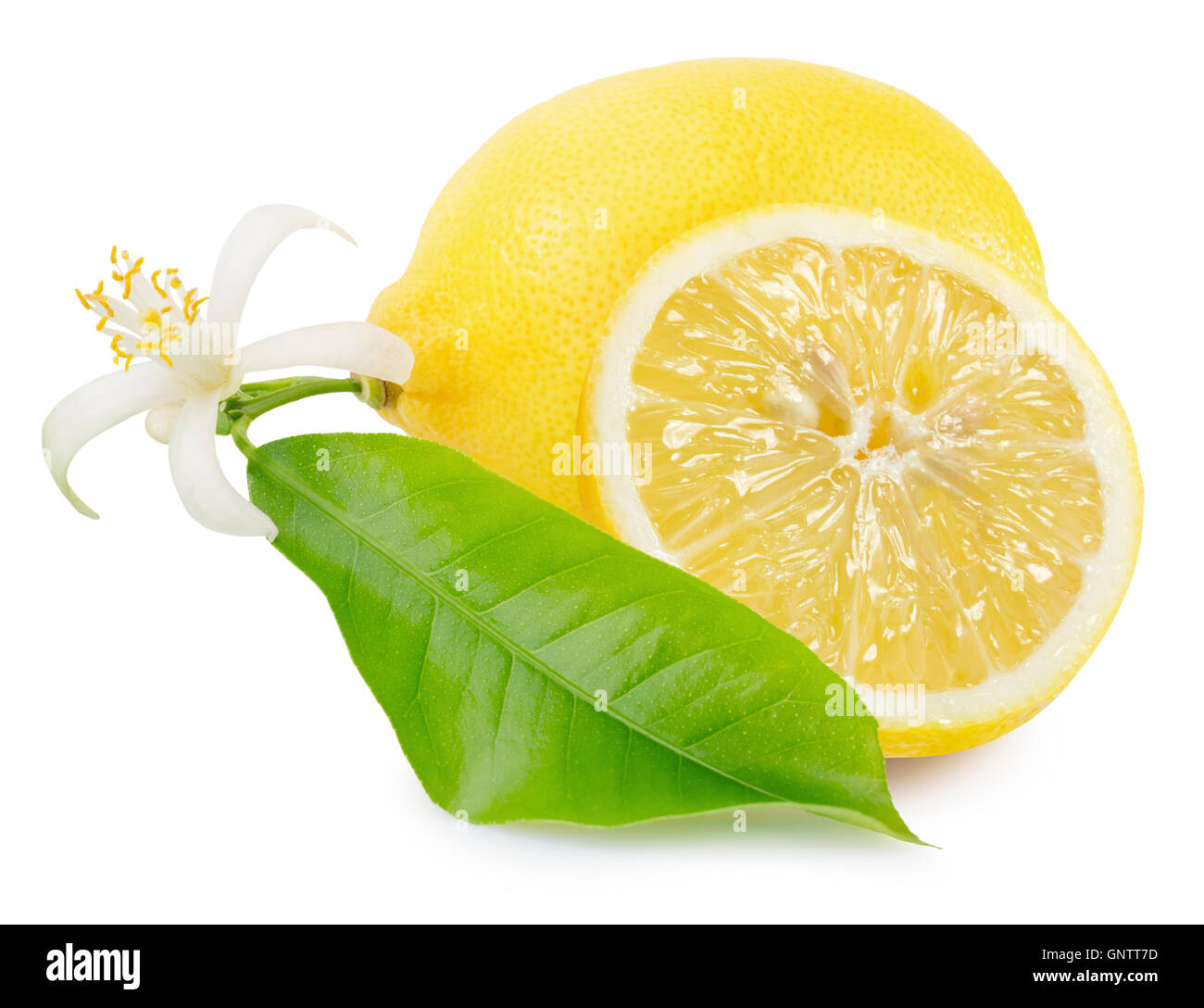 Lemons white background hi-res stock photography and images - Alamy