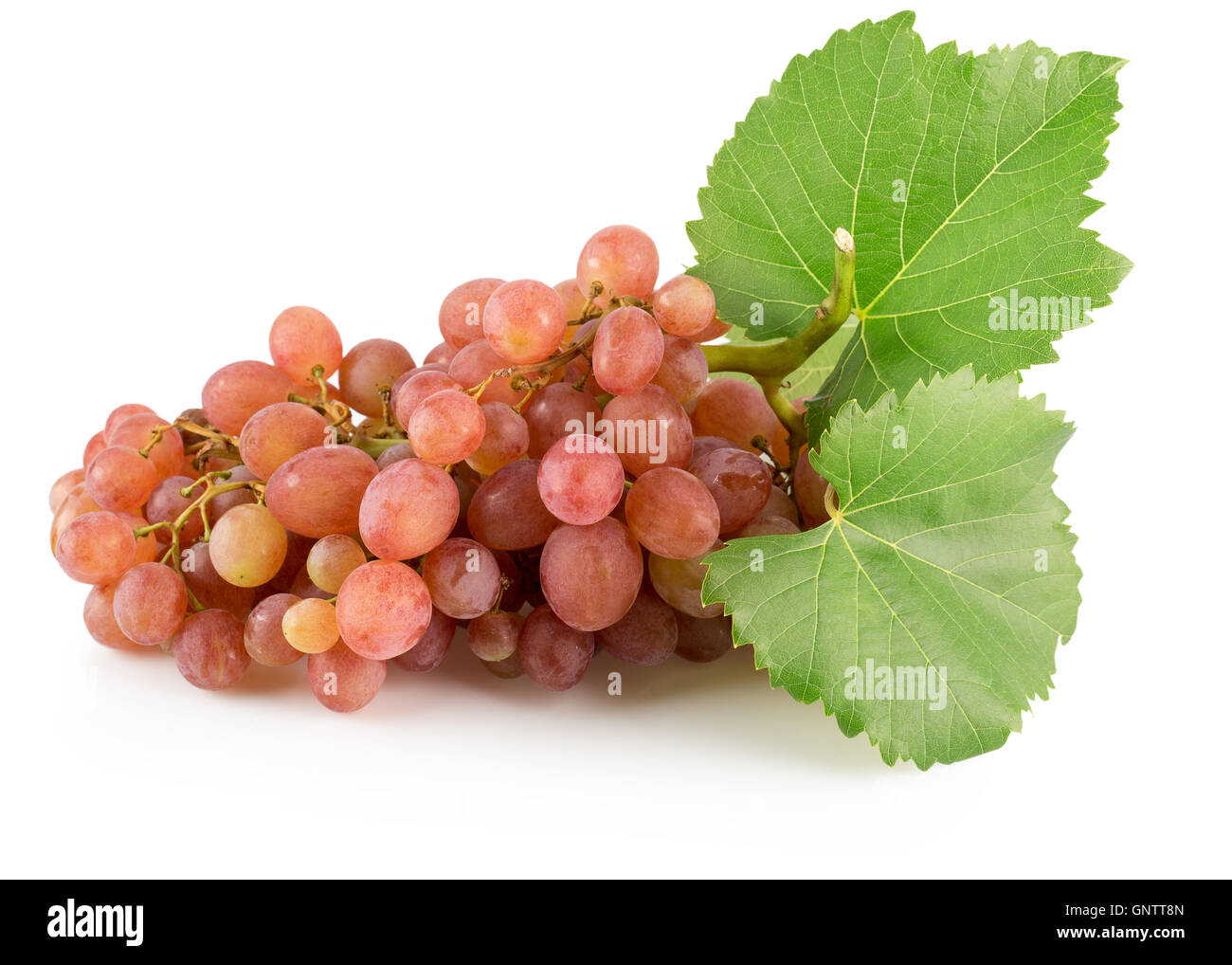 pink grapes isolated on the white background Stock Photo - Alamy