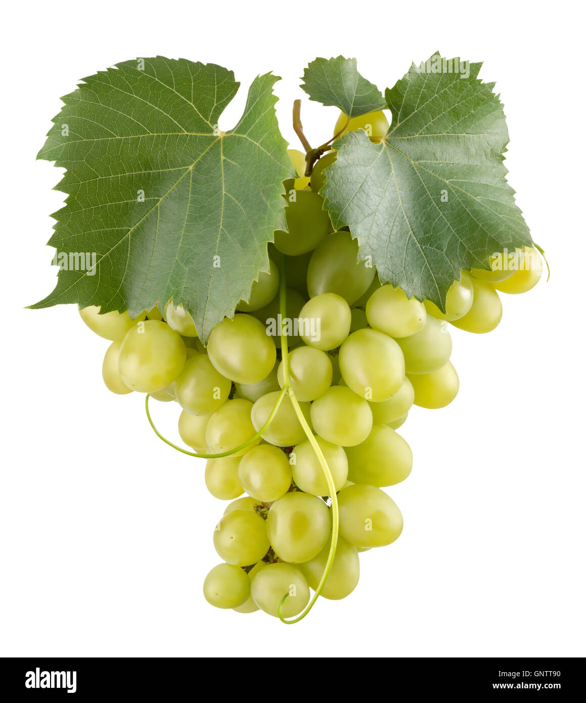 green grapes isolated on the white background Stock Photo - Alamy