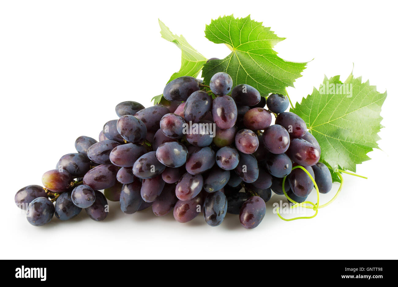 long purple grapes isolated on the white background Stock Photo - Alamy