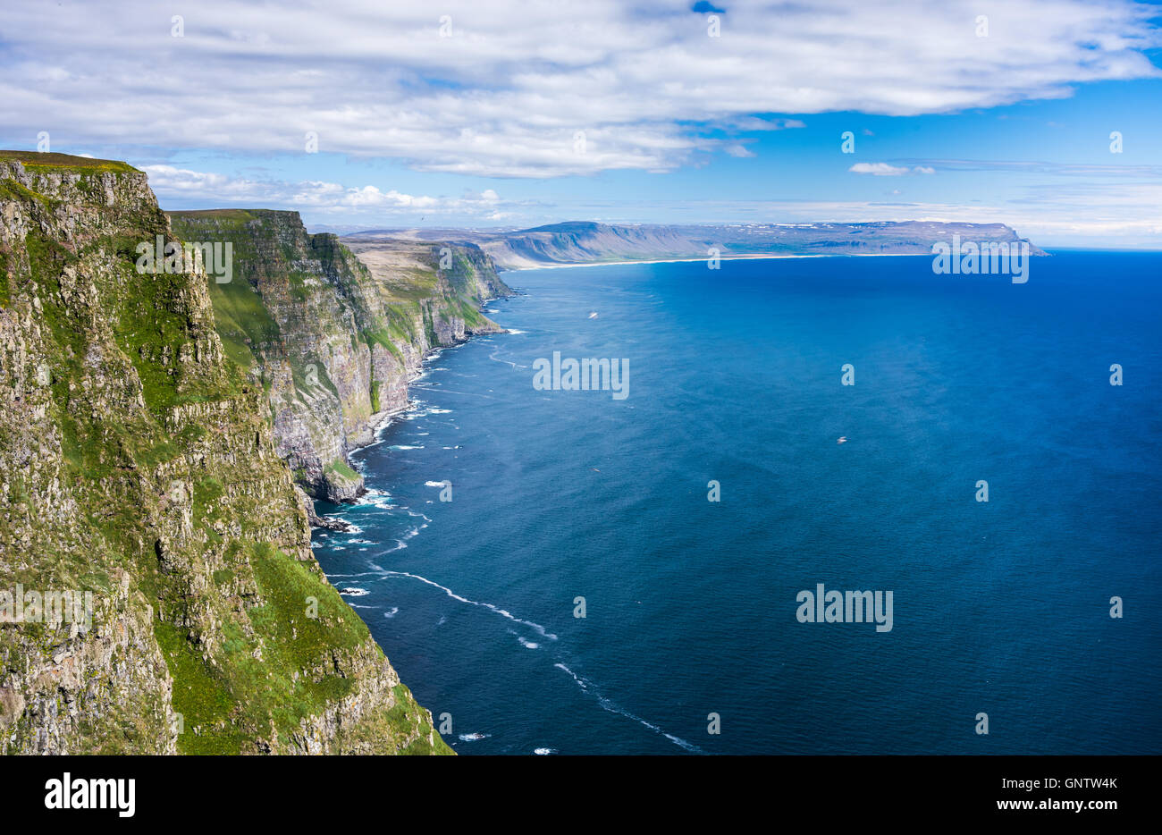 Stunning Latrabjarg cliffs, Europe's largest bird cliff. West Fjords ...