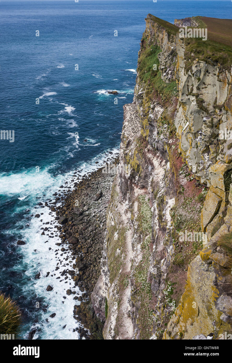 Stunning Latrabjarg cliffs, Europe's largest bird cliff. West Fjords ...