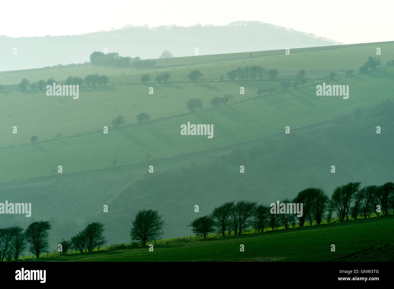 The South Downs National Park near Brighton East Sussex Stock Photo - Alamy