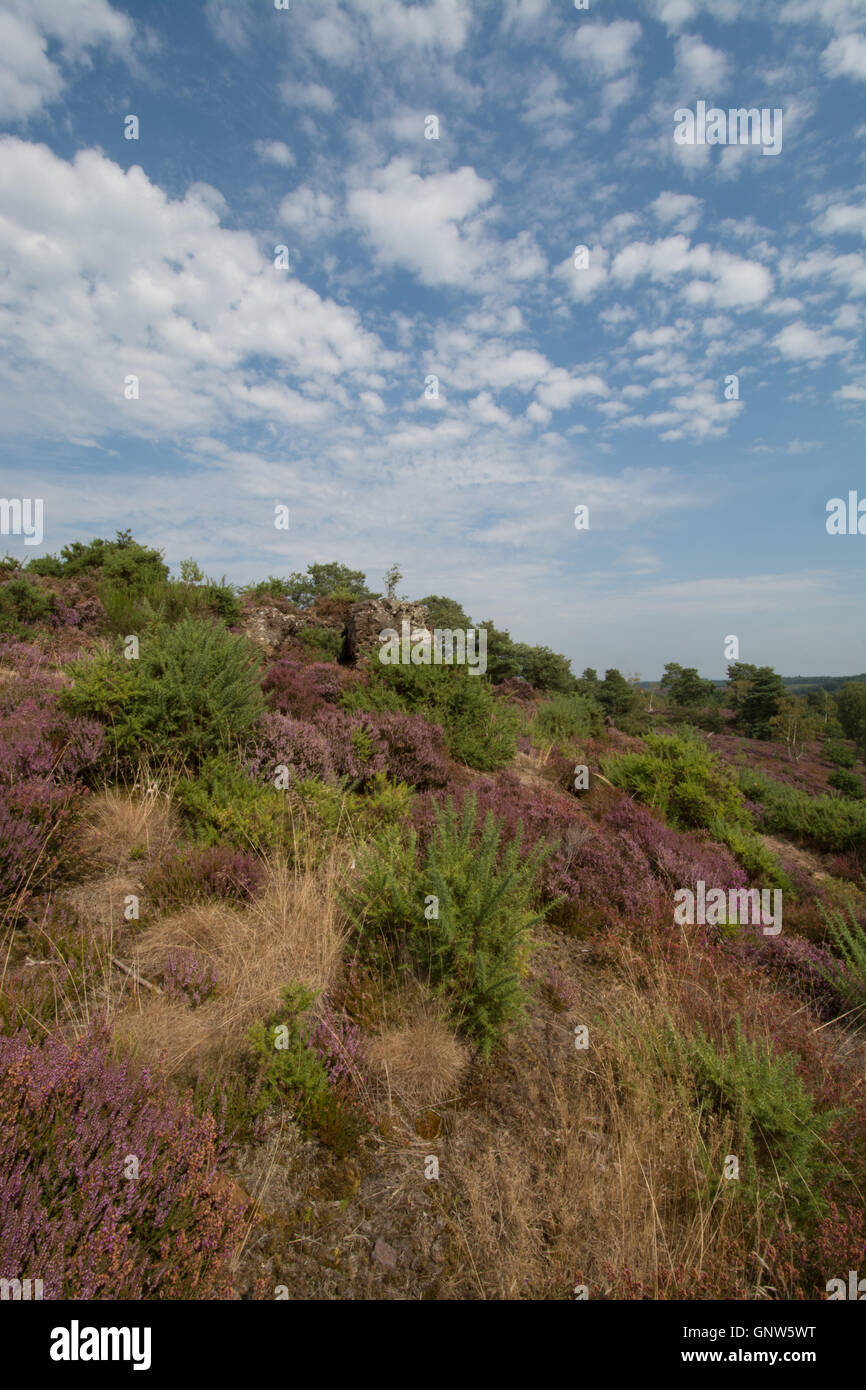 The Devils Jumps High Resolution Stock Photography and Images - Alamy