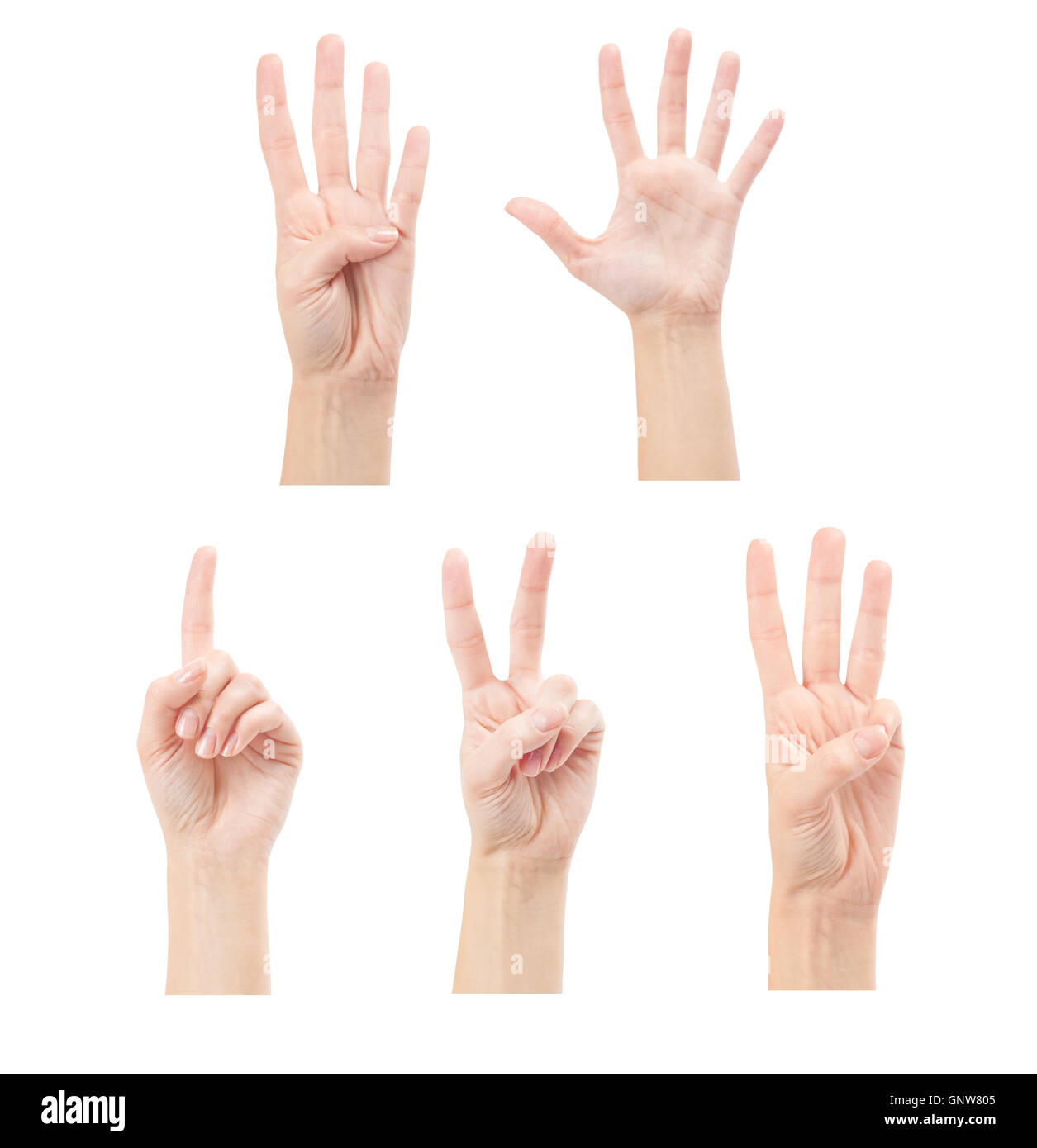 Counting woman hands (1 to 5) isolated on white background Stock Photo ...