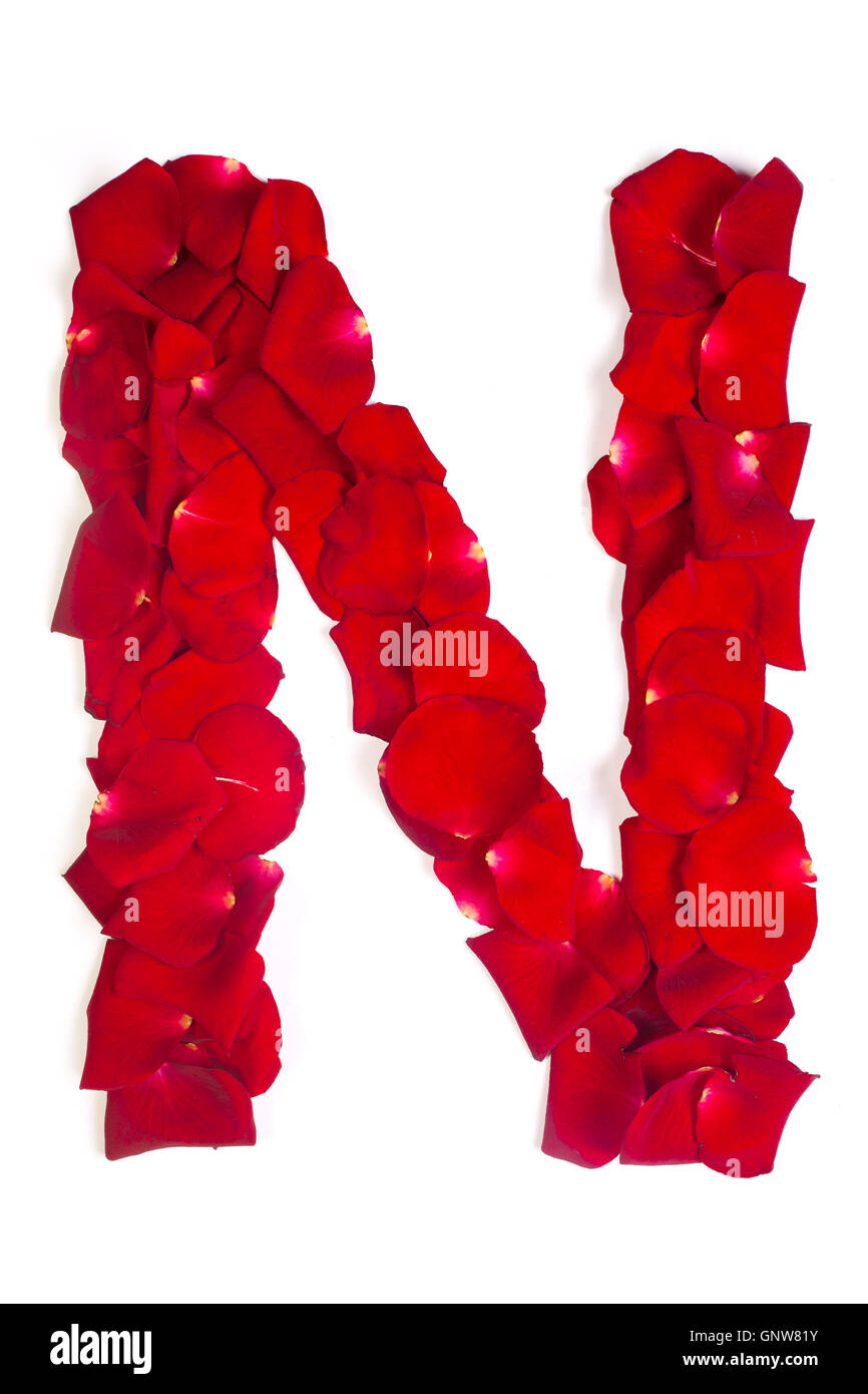 Letter N made from red petals rose on white Stock Photo - Alamy